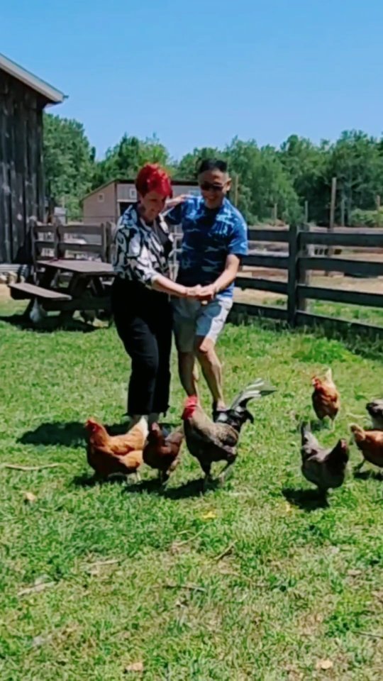 Playlist-Ballroom - dancescape.TV Live Webinars & Virtual Classrooms